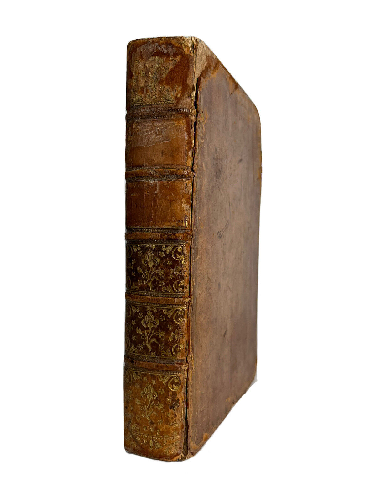 Ornithologia by Brisson 1760 – WoodPaz Books Ltd